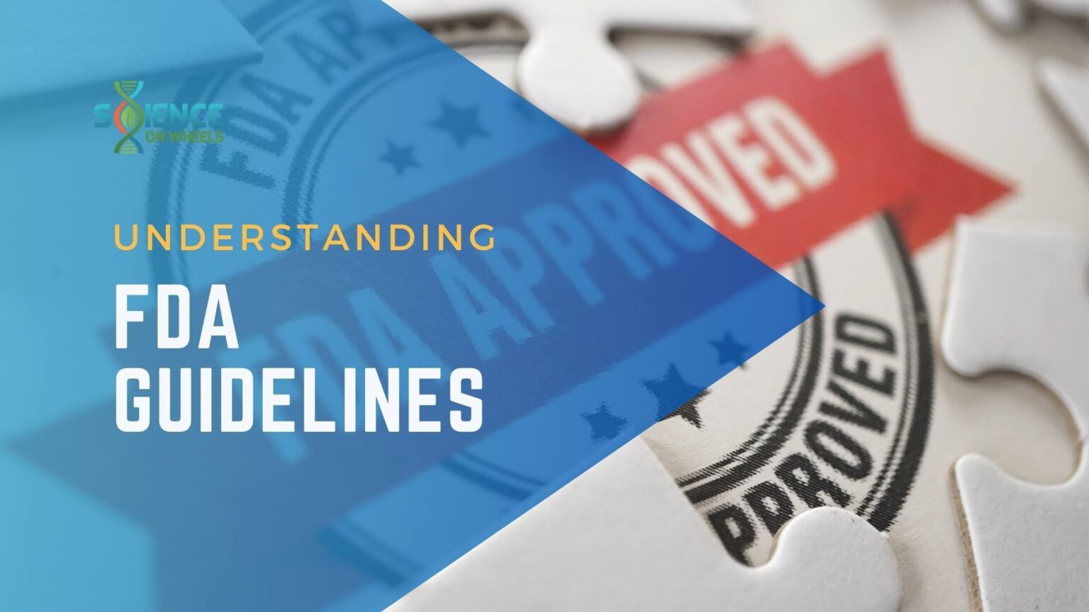 Understanding FDA Guidelines for Supplements